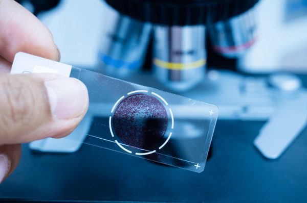 Tecnologia de microscópio virtual é implementada no CEUB - Medicina S/A