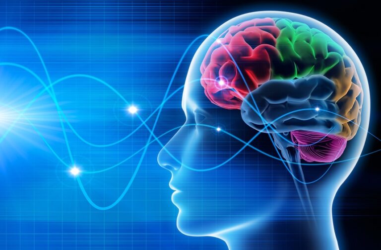 Biogen lança plataforma para médicos sobre neurociência - Medicina S/A
